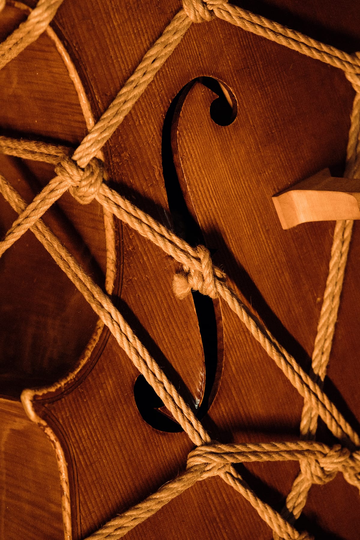 Premiere: Ronan Courty – Synesthesia